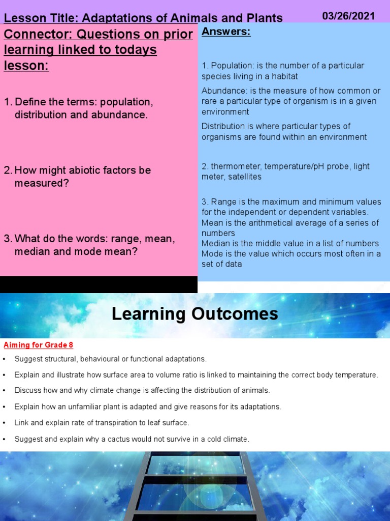 Adaptations of Plants and Animals Lesson | PDF | Adaptation | Mean