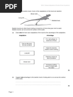 Dichotomous Key Practice Worksheets | PDF | Foreign Language Studies