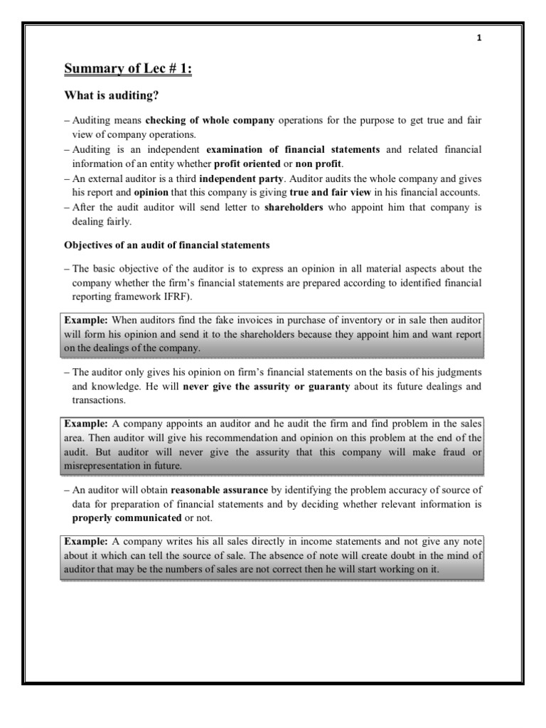 Final Audit Summary | PDF | Financial Audit | Internal Audit