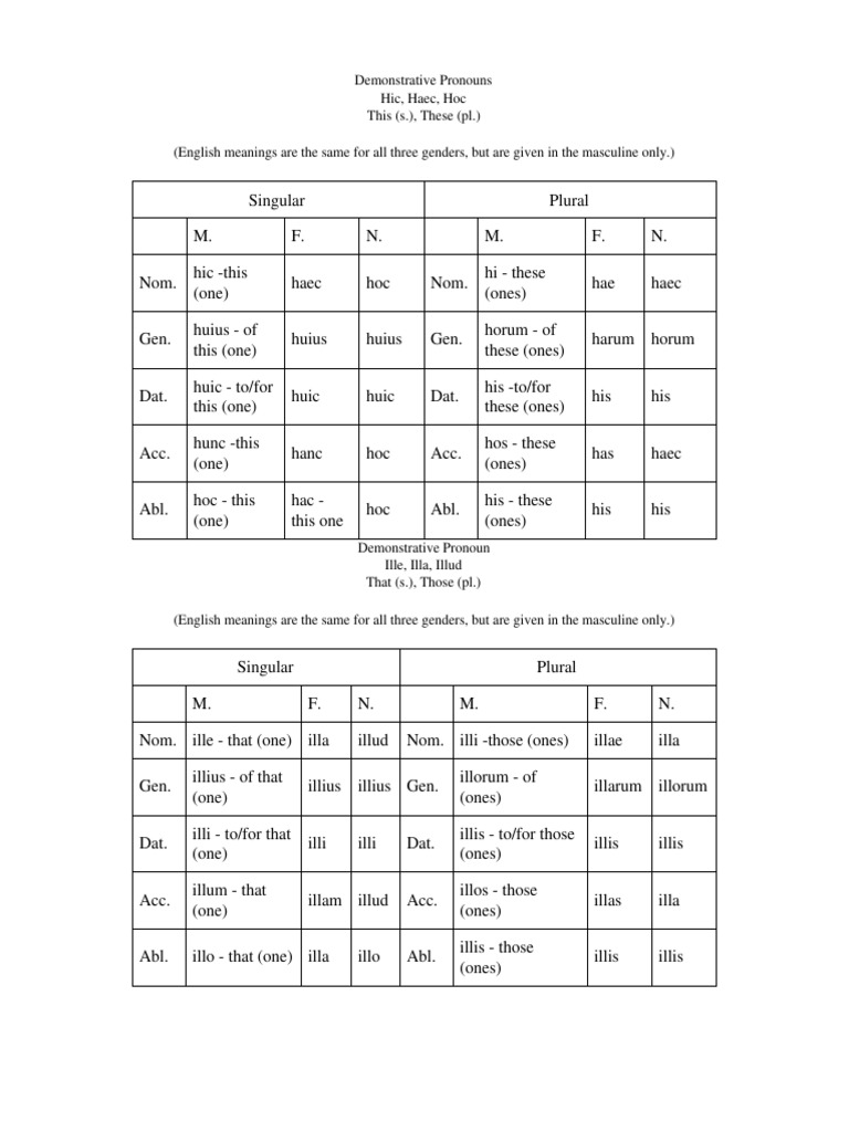 3.06 Hic and Ille Charts | PDF | Morphology | Vocabulary