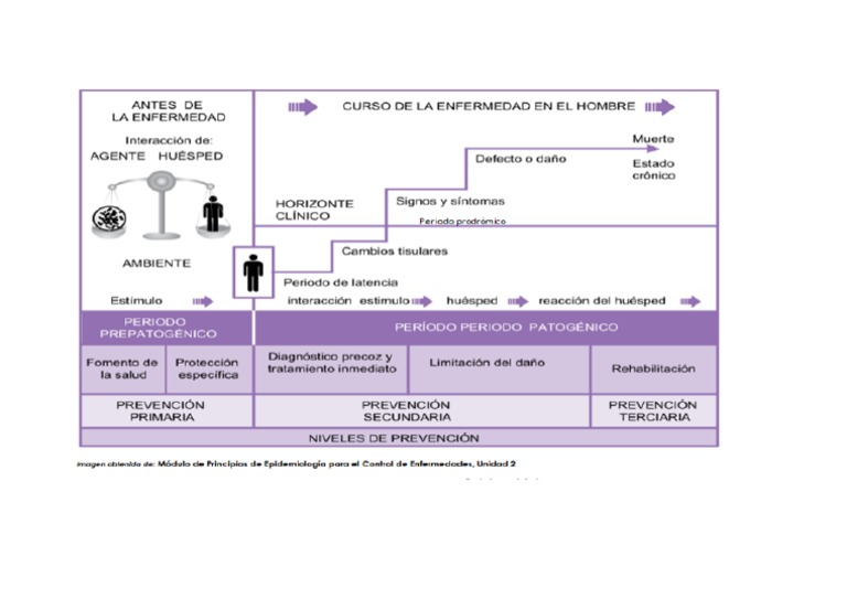Diagrama de Leavell y Clark | PDF