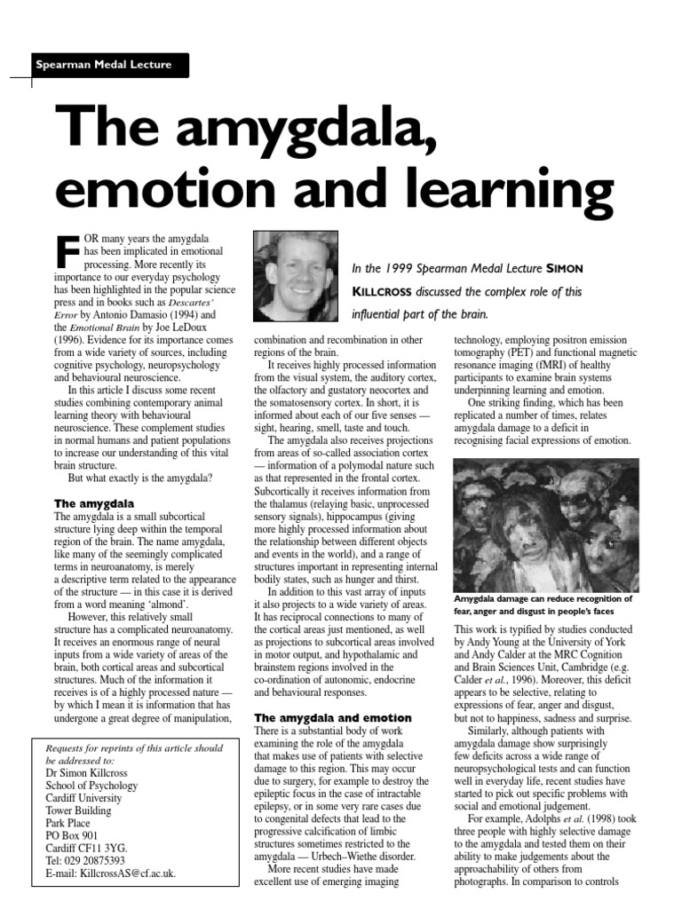 The Amygdala, Emotion and Learning | PDF | Amygdala | Reward System