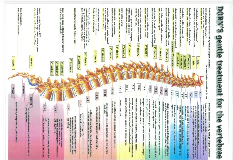 Dorn Therapy Chart | PDF
