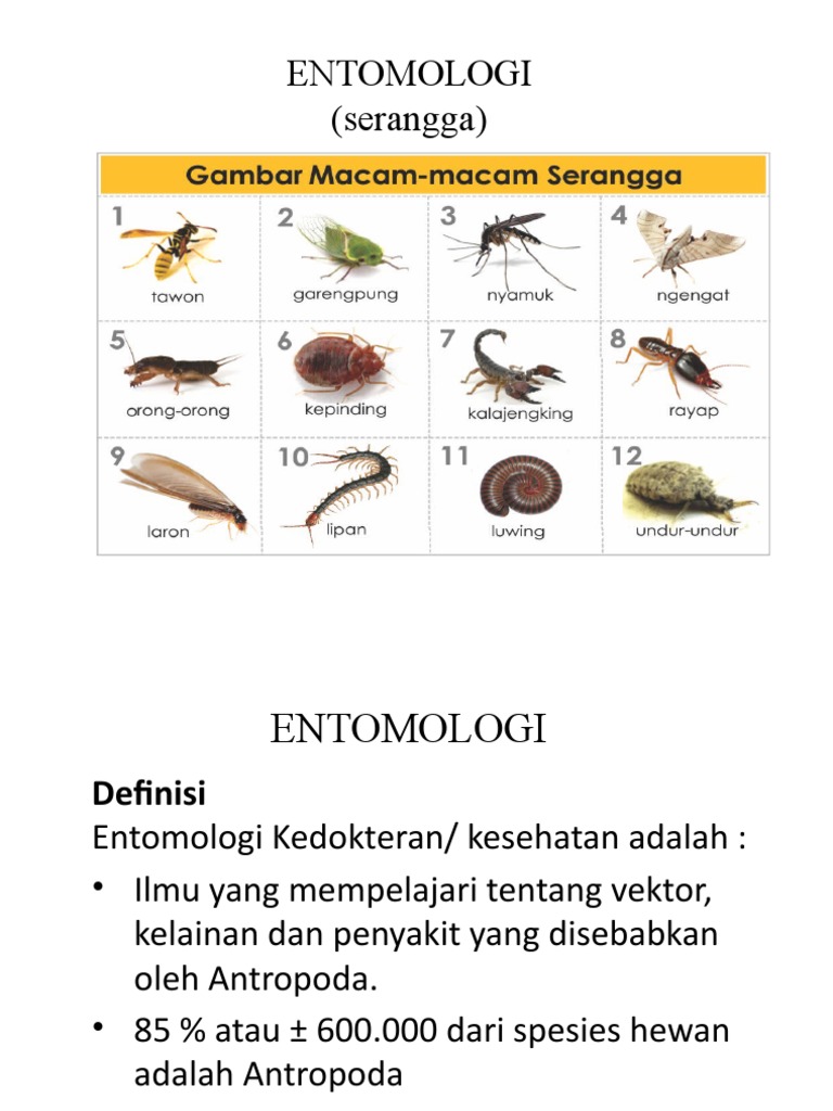 ENTOMOLOGI | PDF