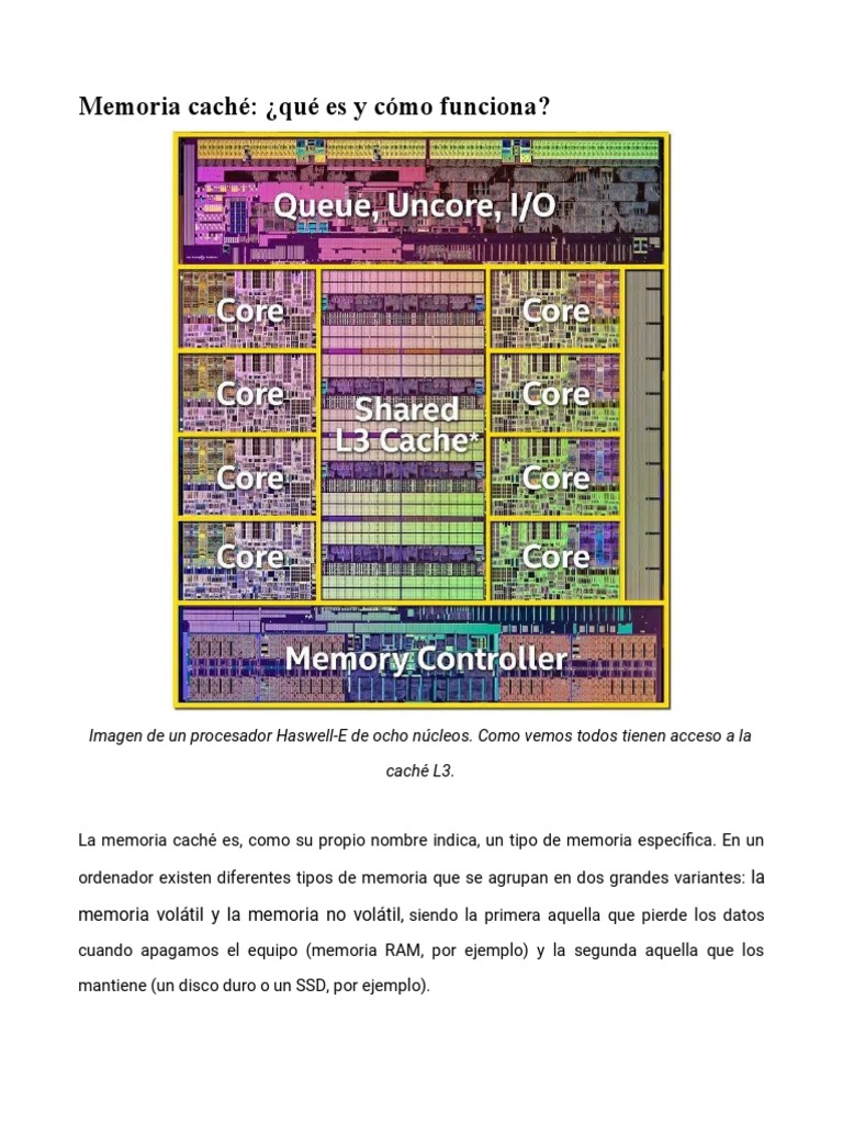 Memoria caché: una explicación detallada de sus tipos, funciones y ...