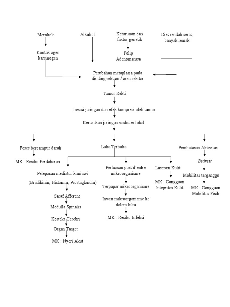 Pathway CA Recti | PDF