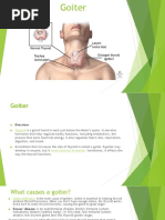 Dubowitz Score | PDF | Labia | Anatomical Terms Of Location