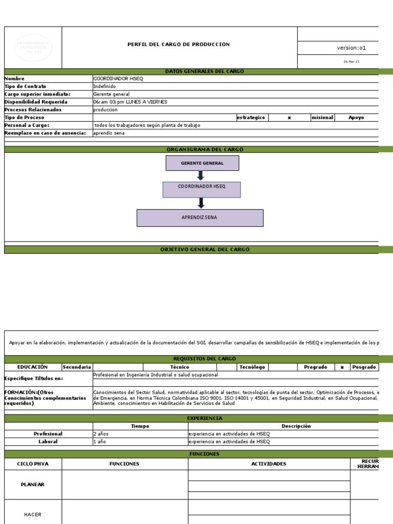 Perfil De Cargo De Hseq Pdf Seguridad Y Salud Ocupacional Business