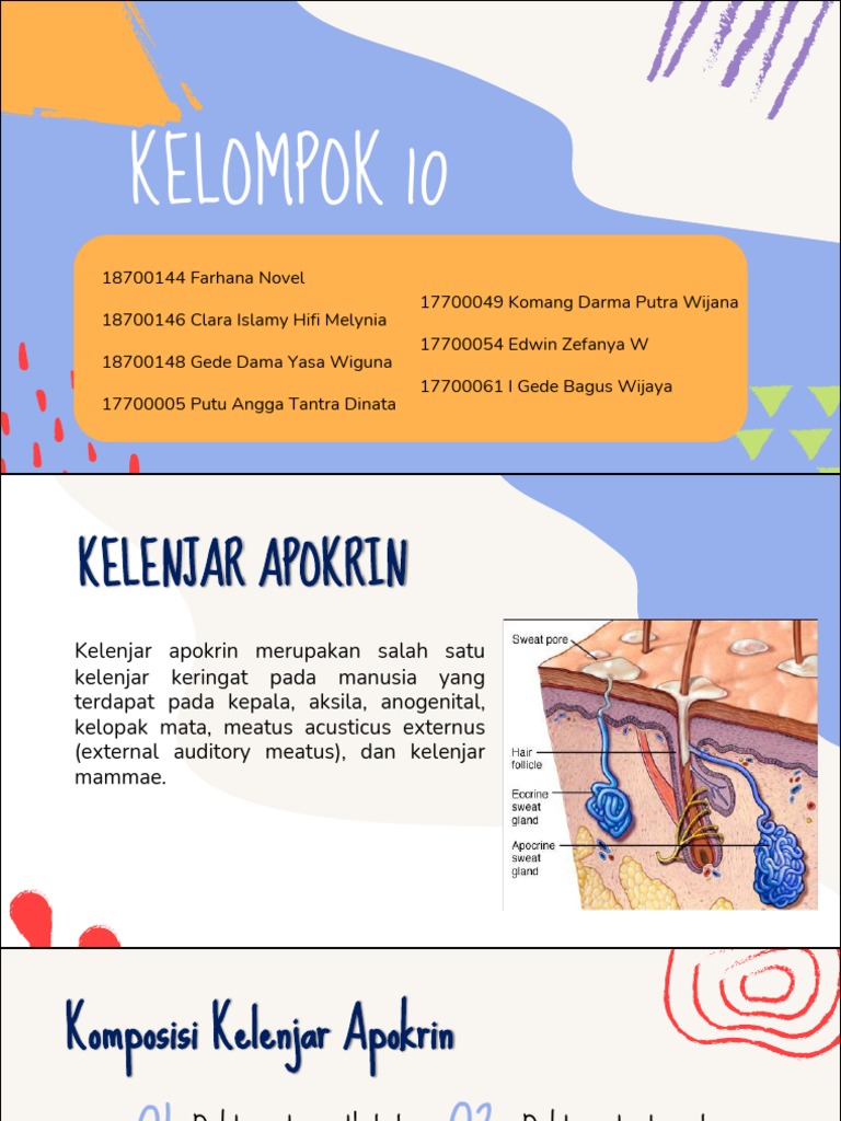 Kelenjar Apokrin | PDF
