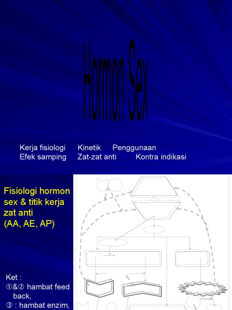 FISIOLOGI HORMON PRIA-ok | PDF | Luteinizing Hormone | Testosterone