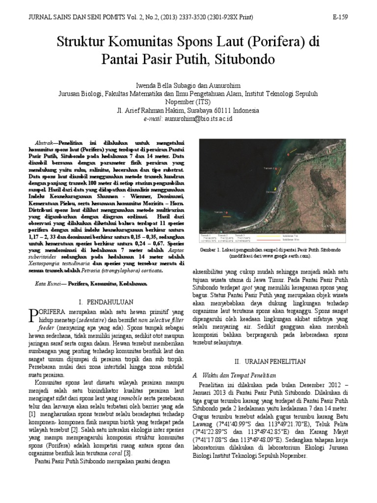 Struktur Komunitas Spons Laut Porifera Di Pantai Pasir Putih Situbondo ...