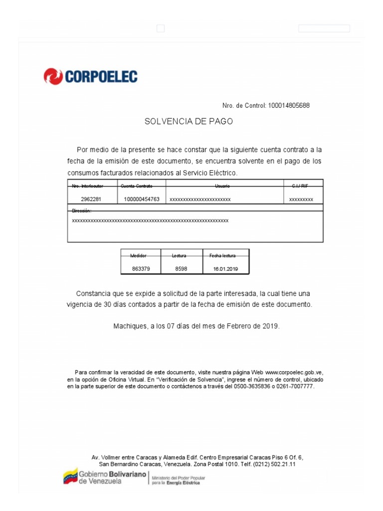 Solvencia ENELVEN | PDF