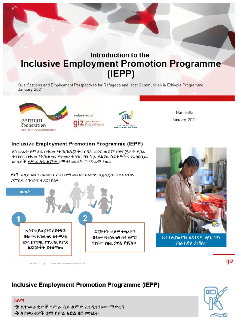 Inclusive Employment Perspective Program | PDF
