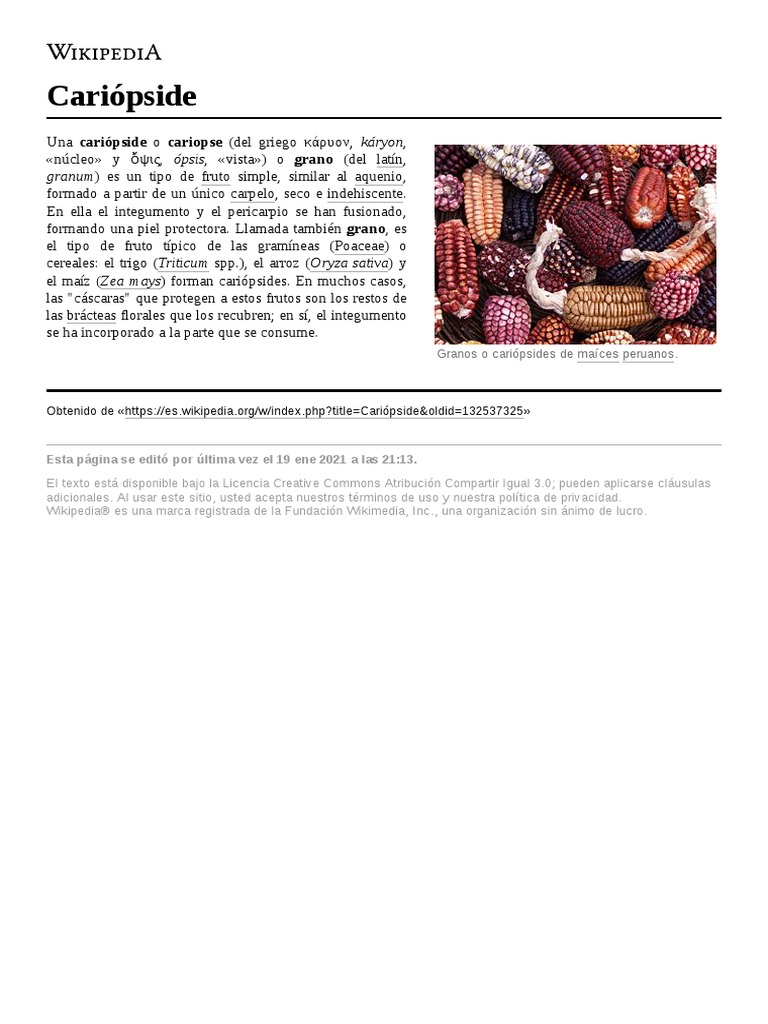 Cariópside | PDF | Ciencia y matemáticas | Tecnología