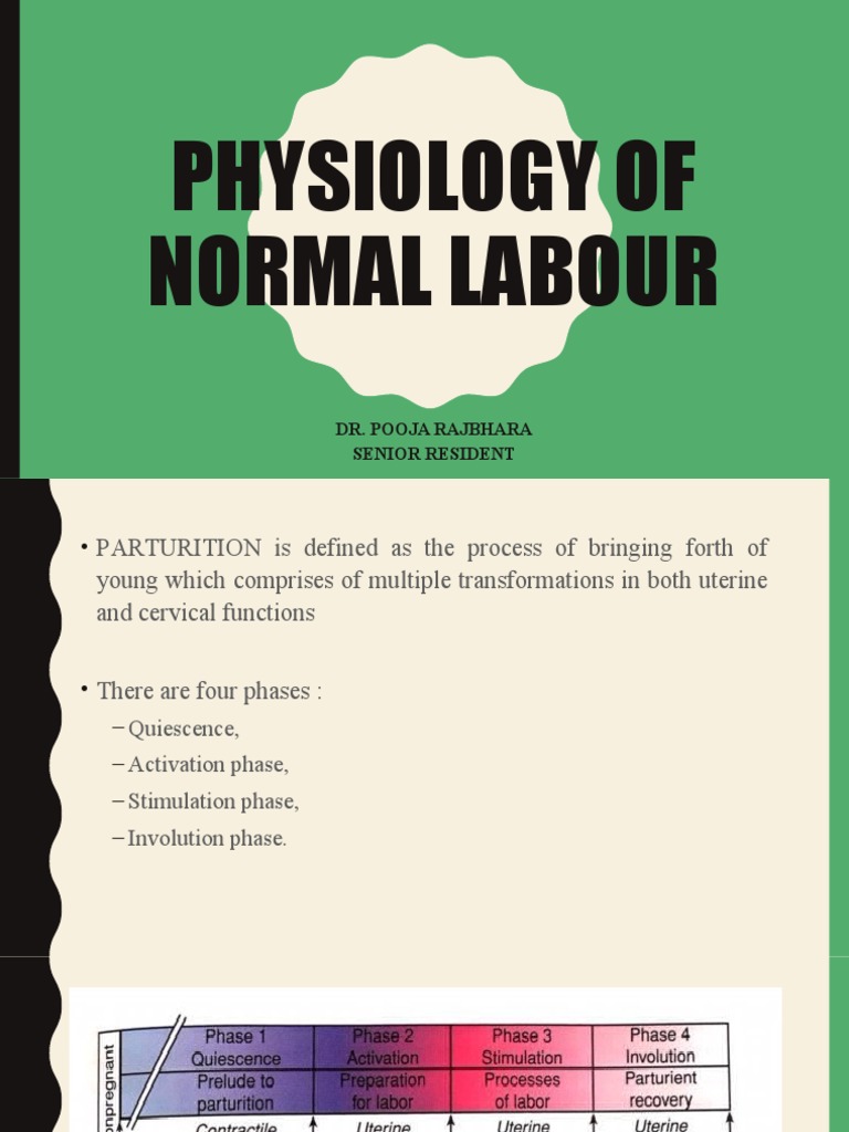 Physiology of Normal Labour | PDF | Uterus | Childbirth