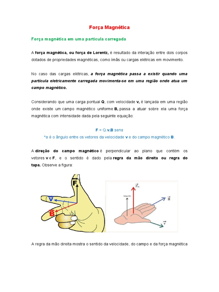 Pré Aula 8 - Força Magnética | PDF | Campo magnético | Magnetismo