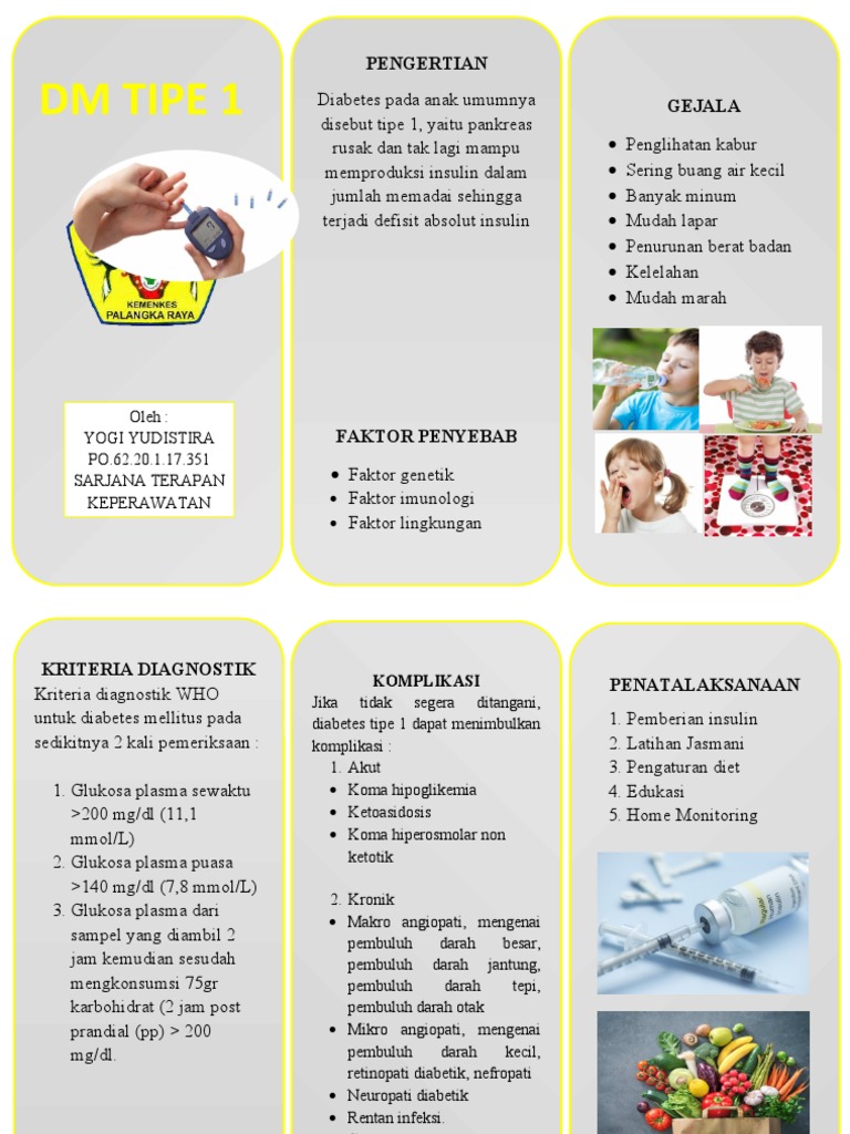 Leaflet DM Tipe 1 Tanpa Komplikasi | PDF
