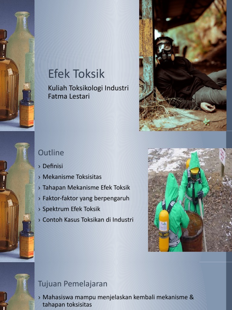 Efek Toksik | PDF