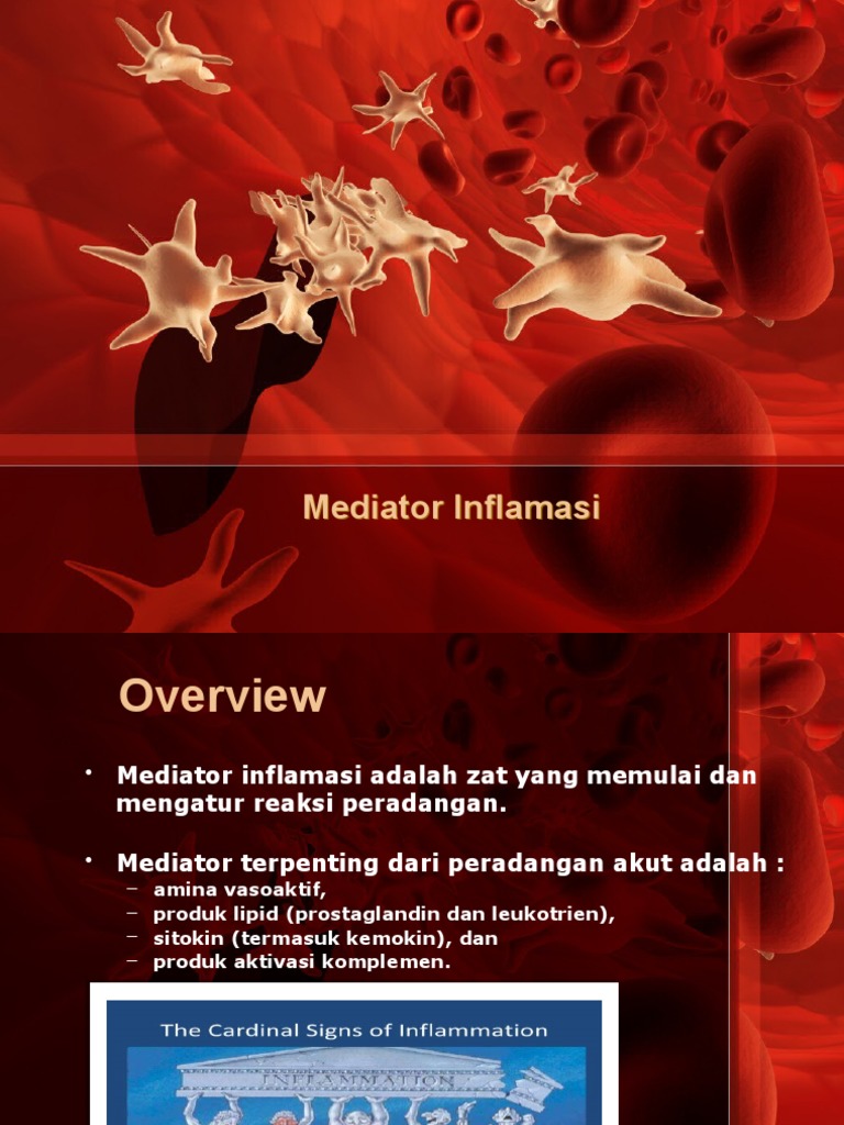 Mediator Inflamasi (Materi) | PDF