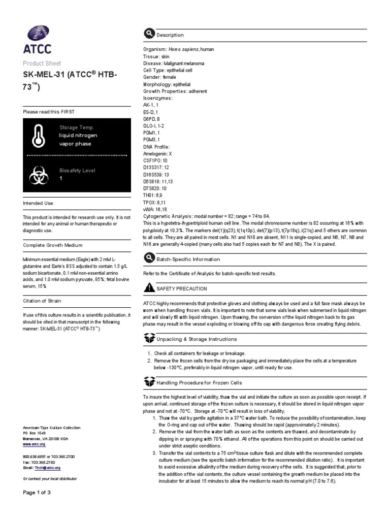 SK MEL 31 (ATCC HTB 73) : Product Sheet | PDF | Atcc (Company) | Growth Medium