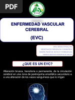 Escalas. EVC. | PDF | Cuidado de la salud | Medicina CLINICA