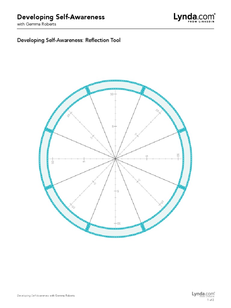 Reflection Tool | PDF