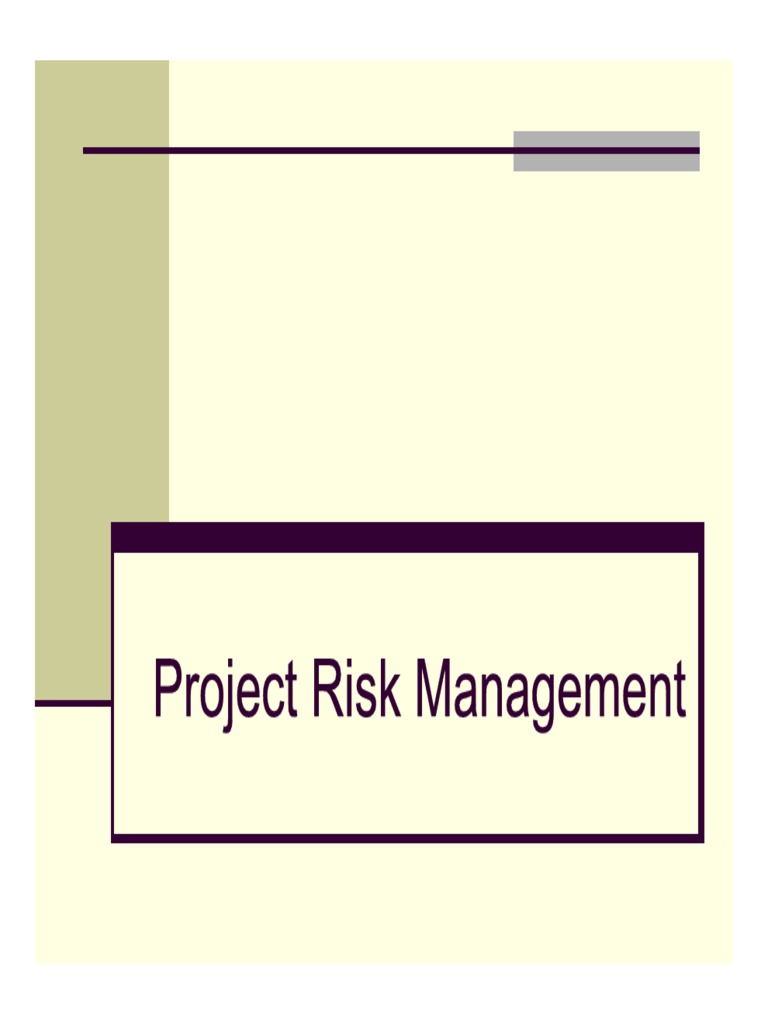 Introduction Risk Management 1 | PDF | Risk Management | Risk