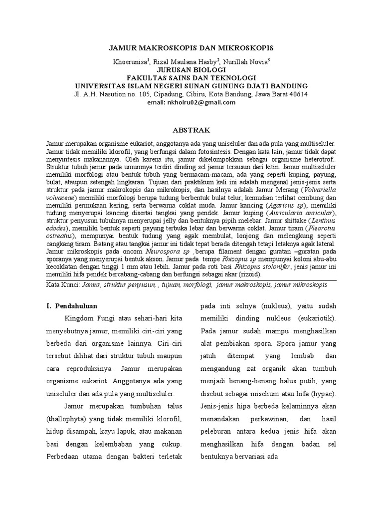 Jamur Makroskopis Dan Mikroskopis | PDF