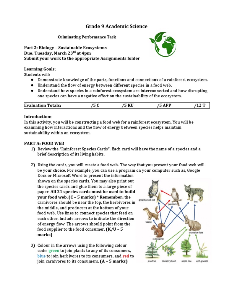 Grade 9 Academic Science: Culminating Performance Task | PDF | Food Web ...