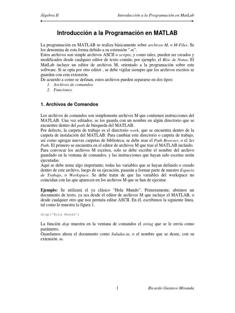 Int Prog Matlab | PDF | Business