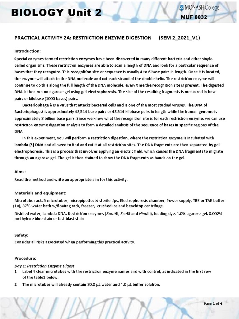 S1 2021 - Restriction Enzyme Pract 2 - V1 - Worksheet | PDF | Gel ...