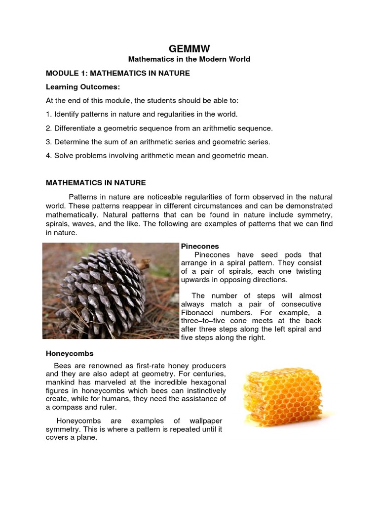 MODULE 1 Mathematics in Nature | PDF | Pattern | Milky Way