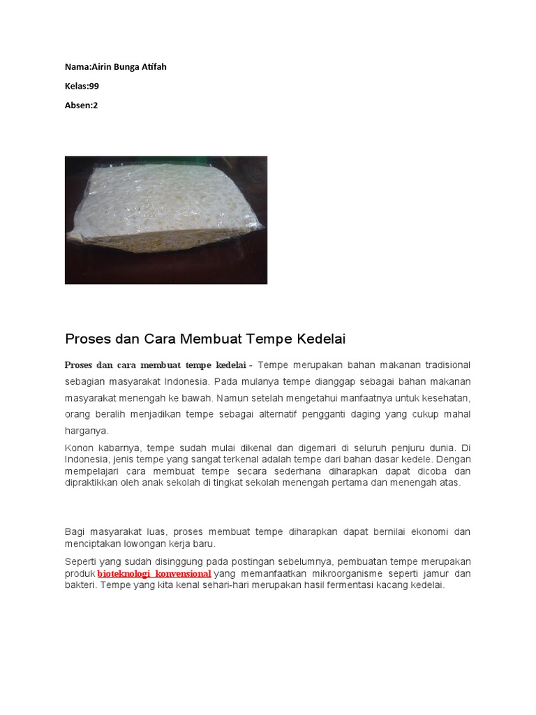 PROSES PEMBUATAN TEMPE | PDF