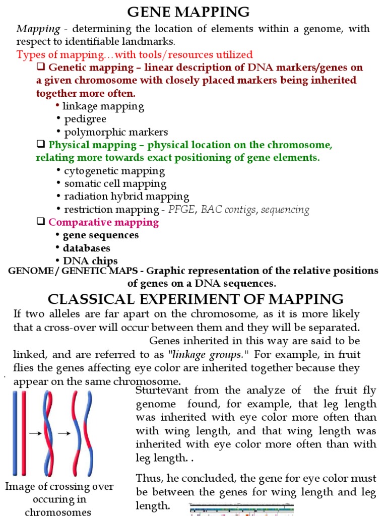 Genetic Mapping - Linear Description of DNA Markers/genes On | PDF ...