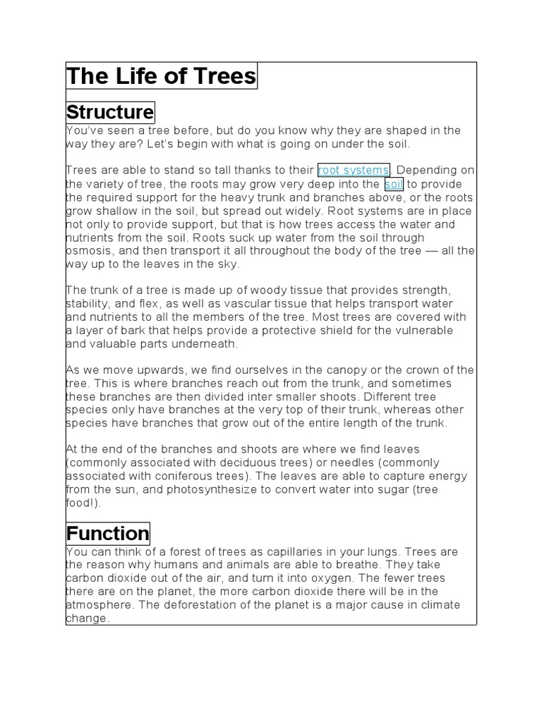 The Life of Trees: Structure | PDF