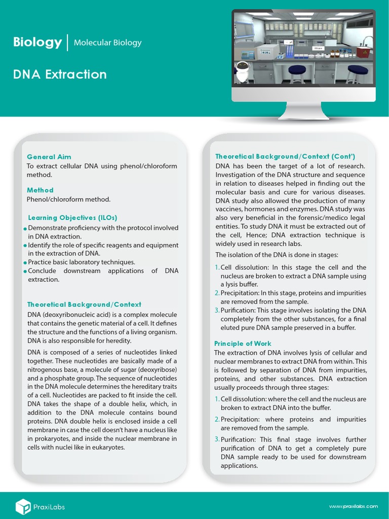 Dna Extraction Simulation | PDF | Dna | Protein Purification