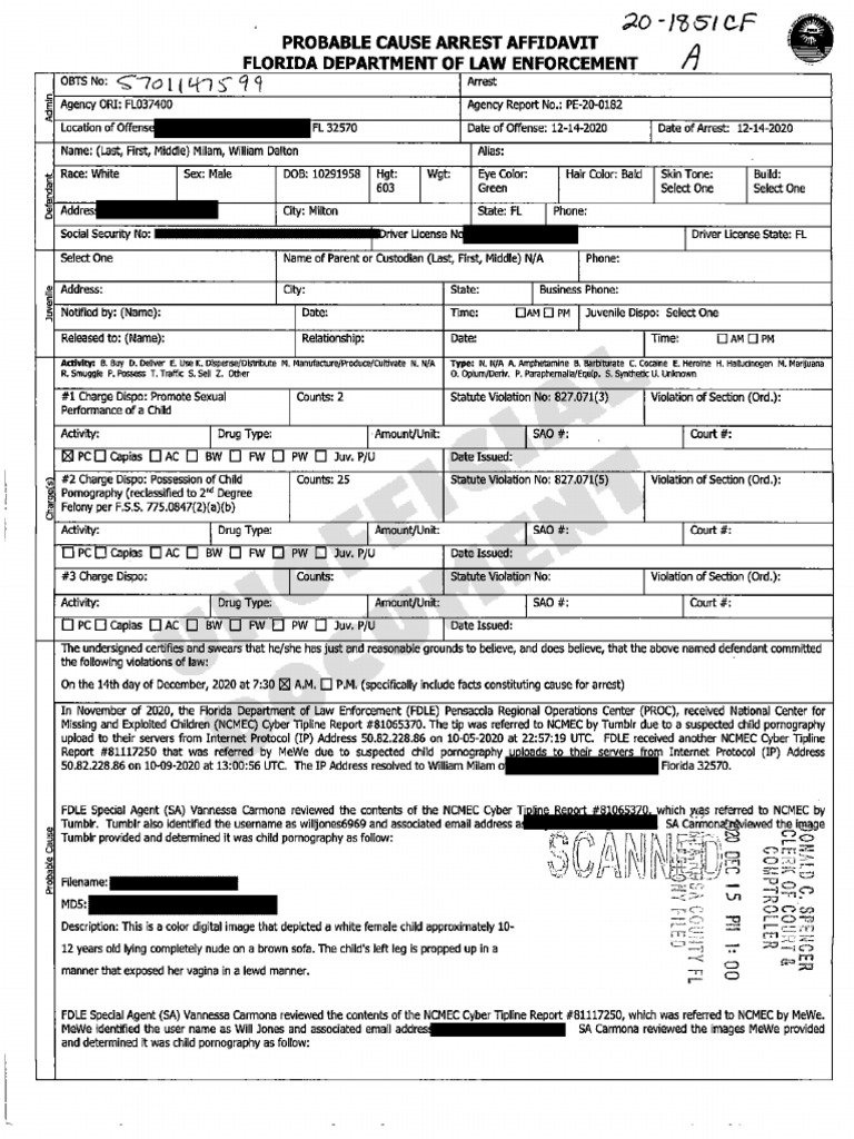 Arrest Record For William Milam | PDF