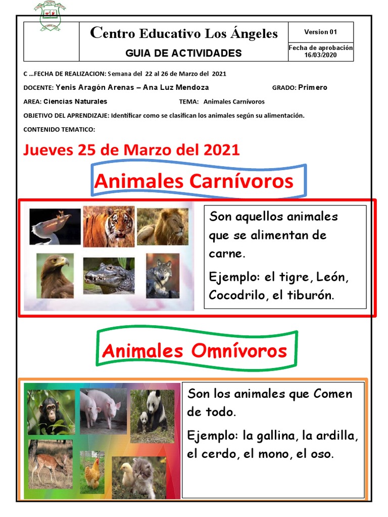 Animales Carnivoros y Omnivoros | PDF