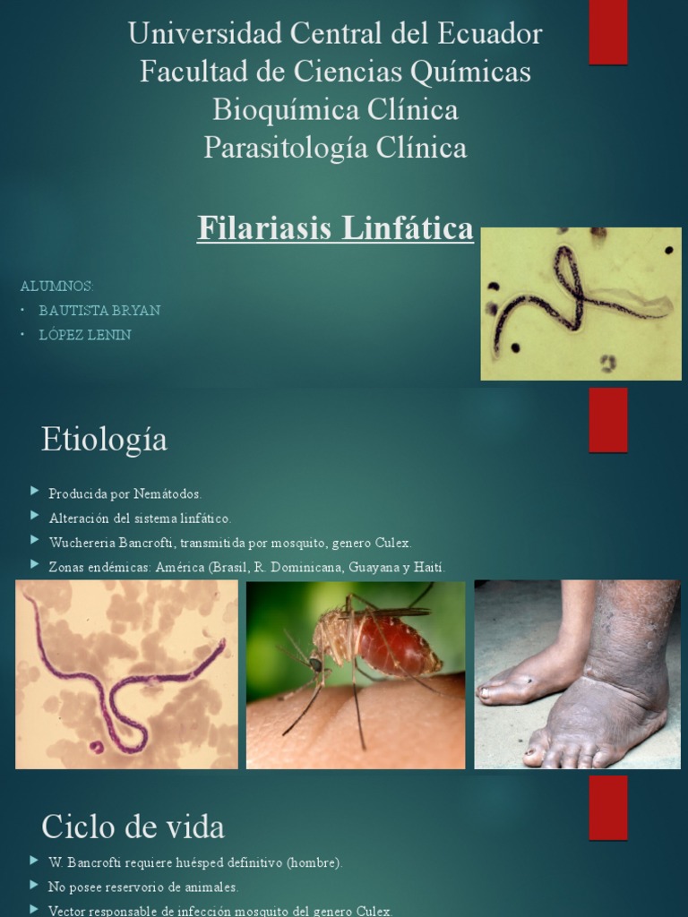 Filariasis 1.0 | PDF | Enfermedades y trastornos | Inmunología