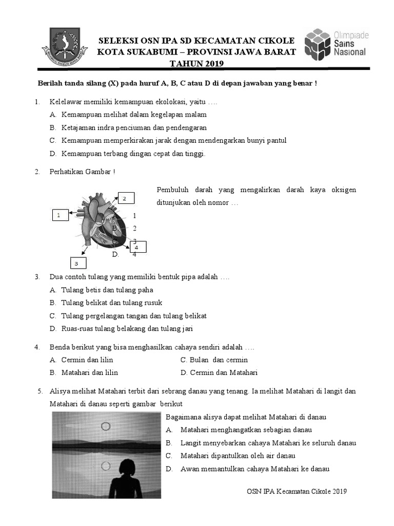 Soal Osn Ipa 2019 | PDF