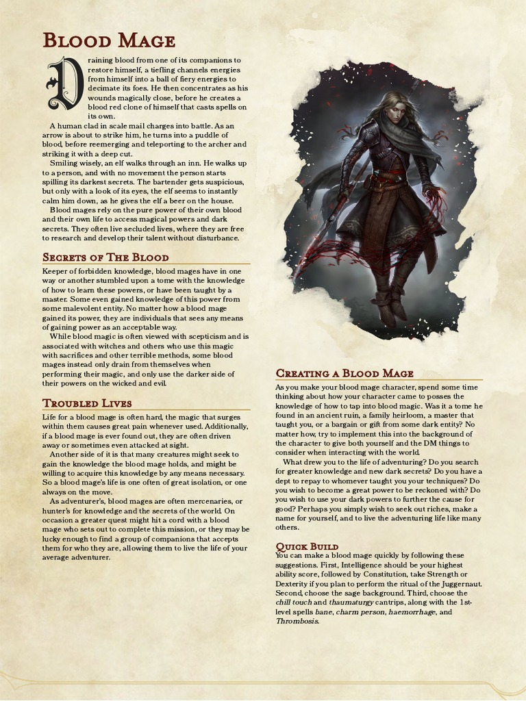 The Blood Mage (Full Class) | PDF