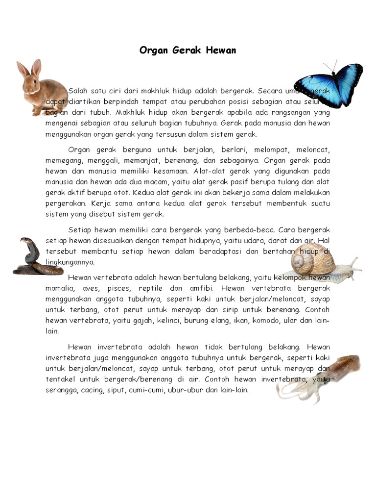 Organ Gerak Hewan dan Fungsinya | PDF