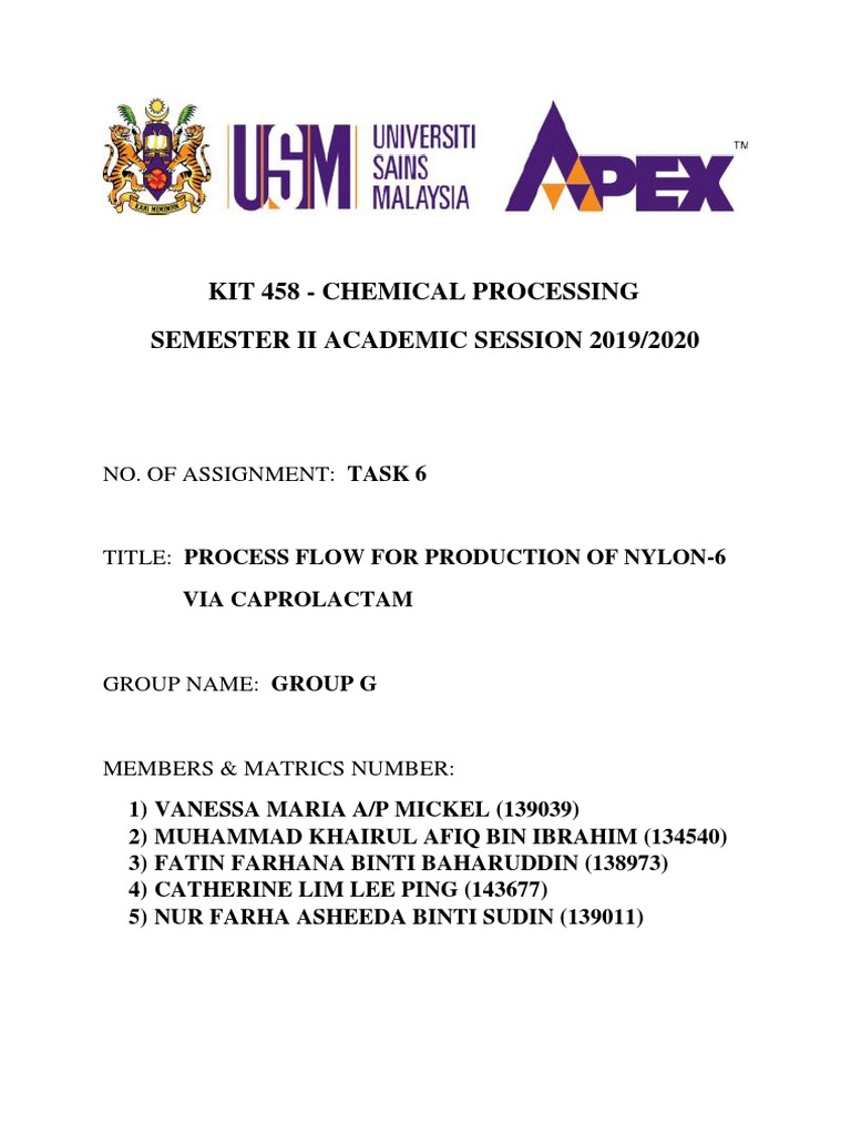 KIT 458 - Report (Group G) Task 6 | PDF | Benzene | Nylon