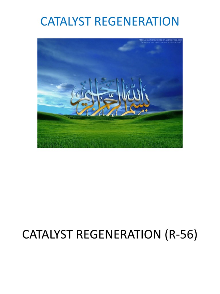 Catalyst Regeneration Process Overview | PDF | Sulfur | Combustion