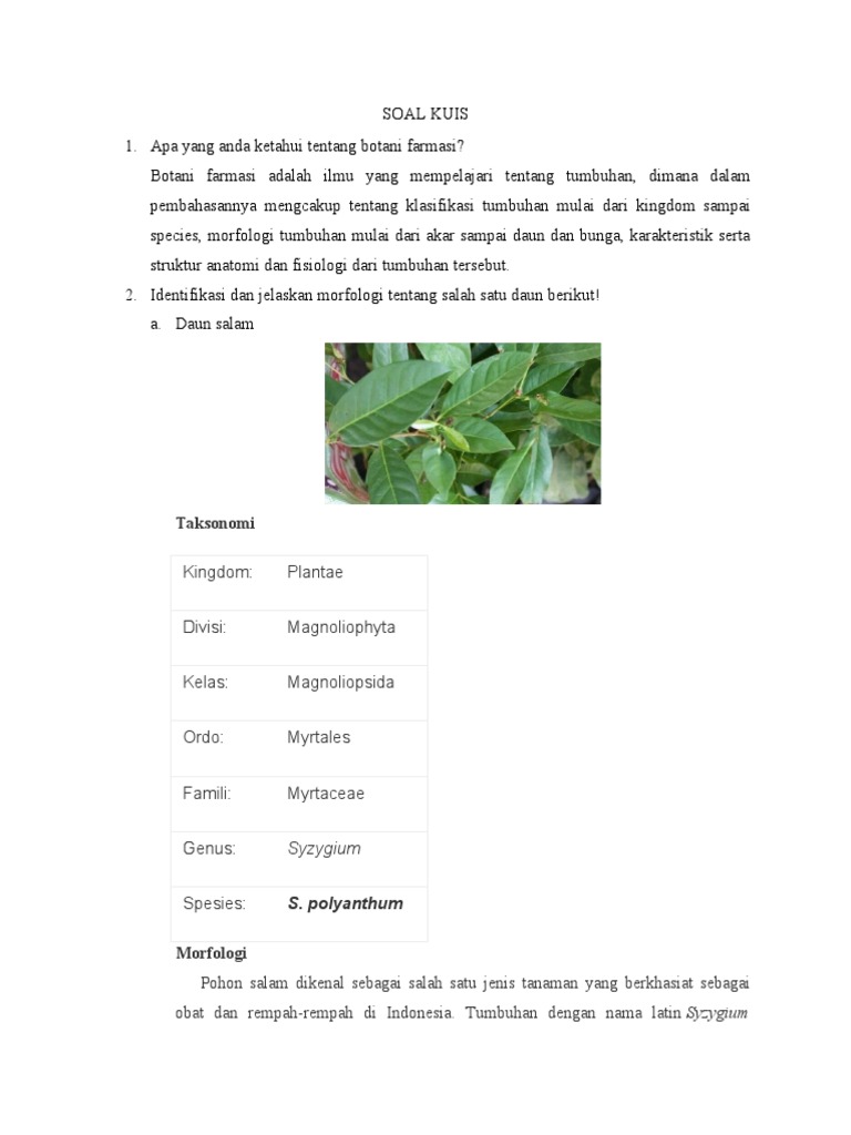 Kuis Botani Farmasi (Nursuhar) | PDF | Griya & Taman | Kesehatan Holistik