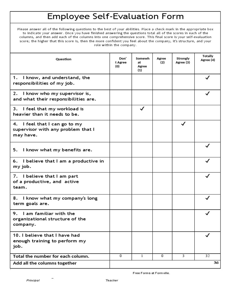 Employee Self-Evaluation Form Guide | PDF | Performance Appraisal ...