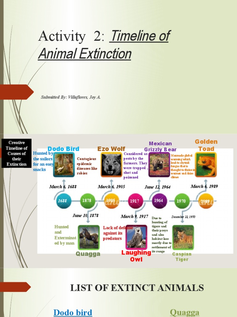 Timeline of Animal Extinction: Activity 2 | PDF | Extinction | Hunting