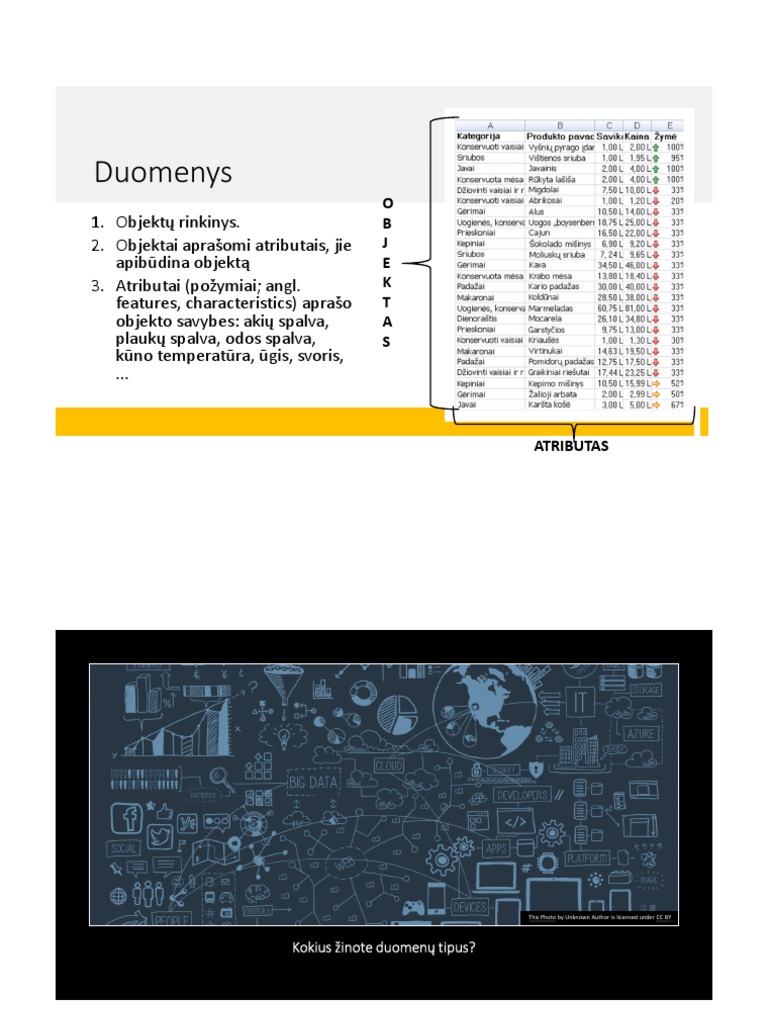 Duomenu Tipai | PDF