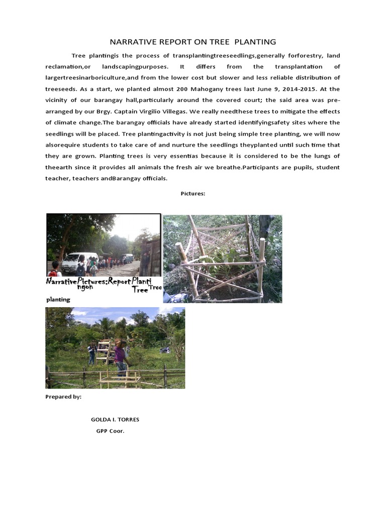 Narrative Report On Tree Planting | PDF