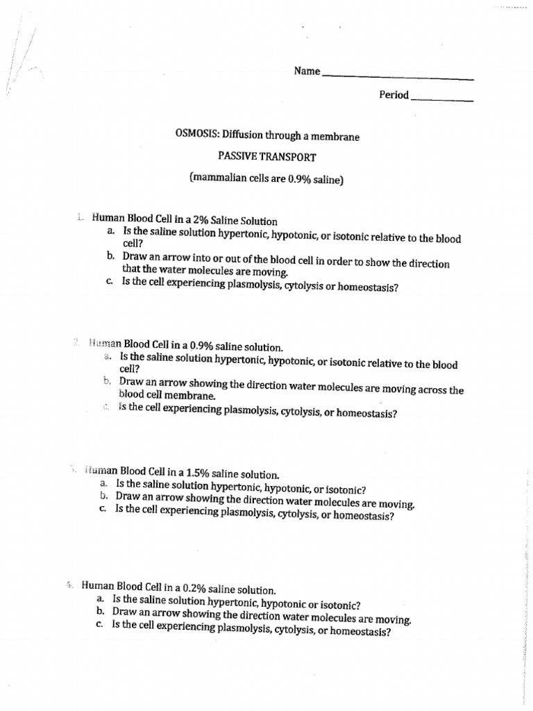 Cell Transport Practice Problems | PDF
